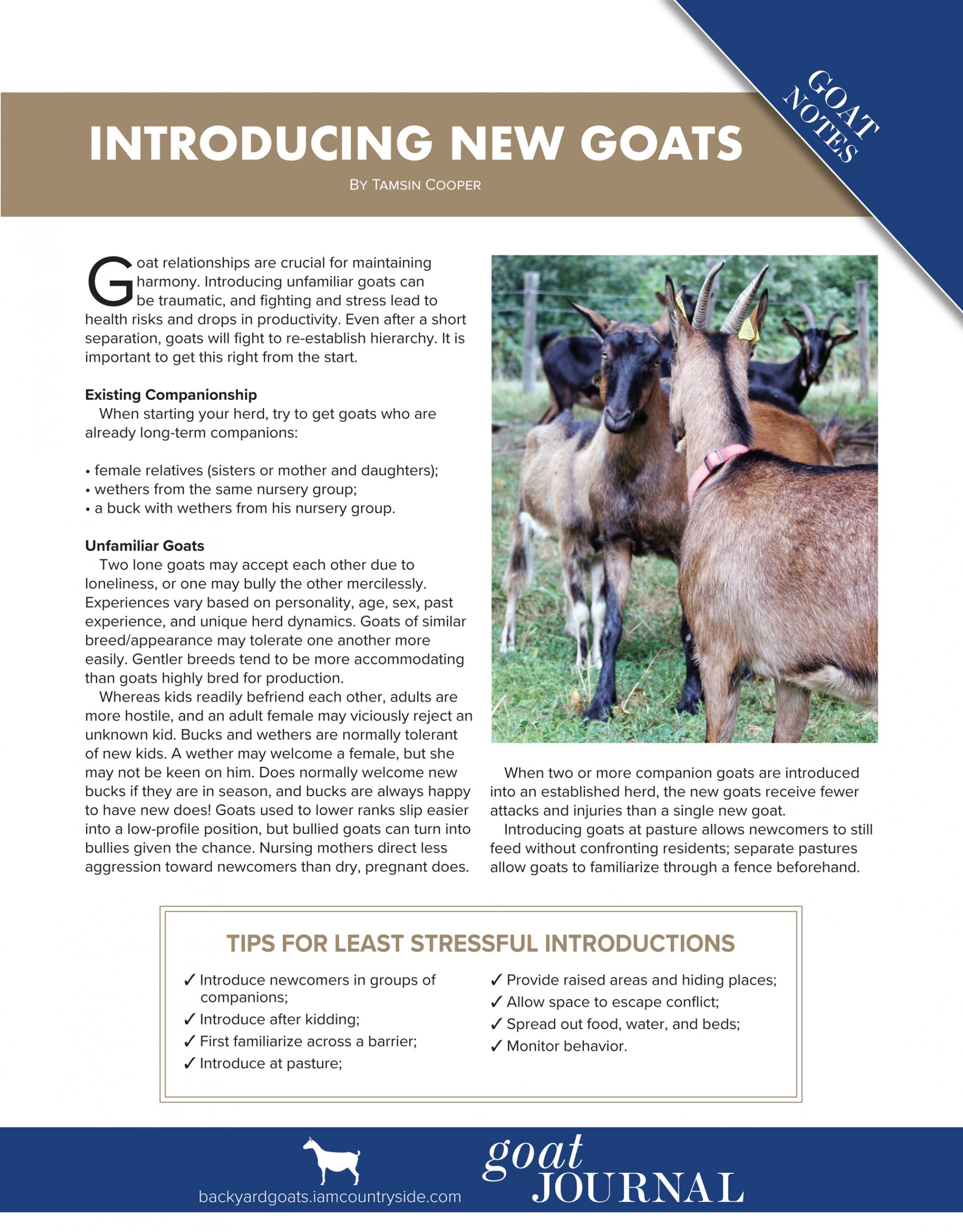 Introducing New Goats - Goat Journal